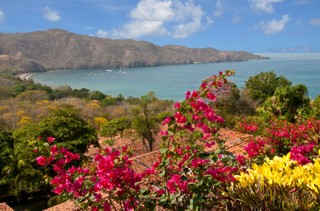 Uncover the Hidden Gems of Costa Rica: 16 Incredible Day Trips from ...