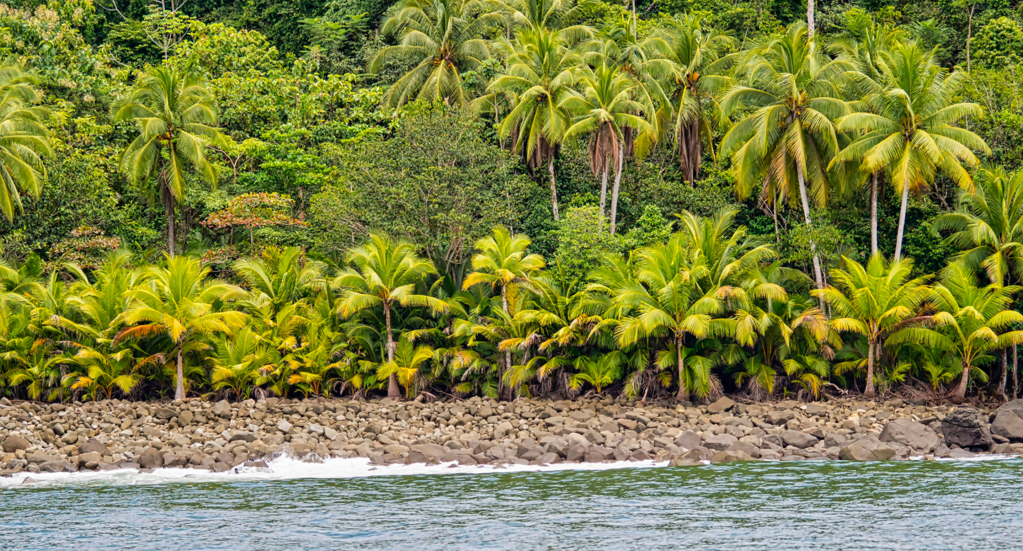 Marino Ballena National Park: Whales Year-Round
