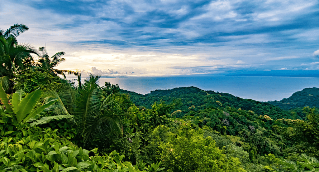 Ultimate Guide to Planning Your Visit to Monteverde